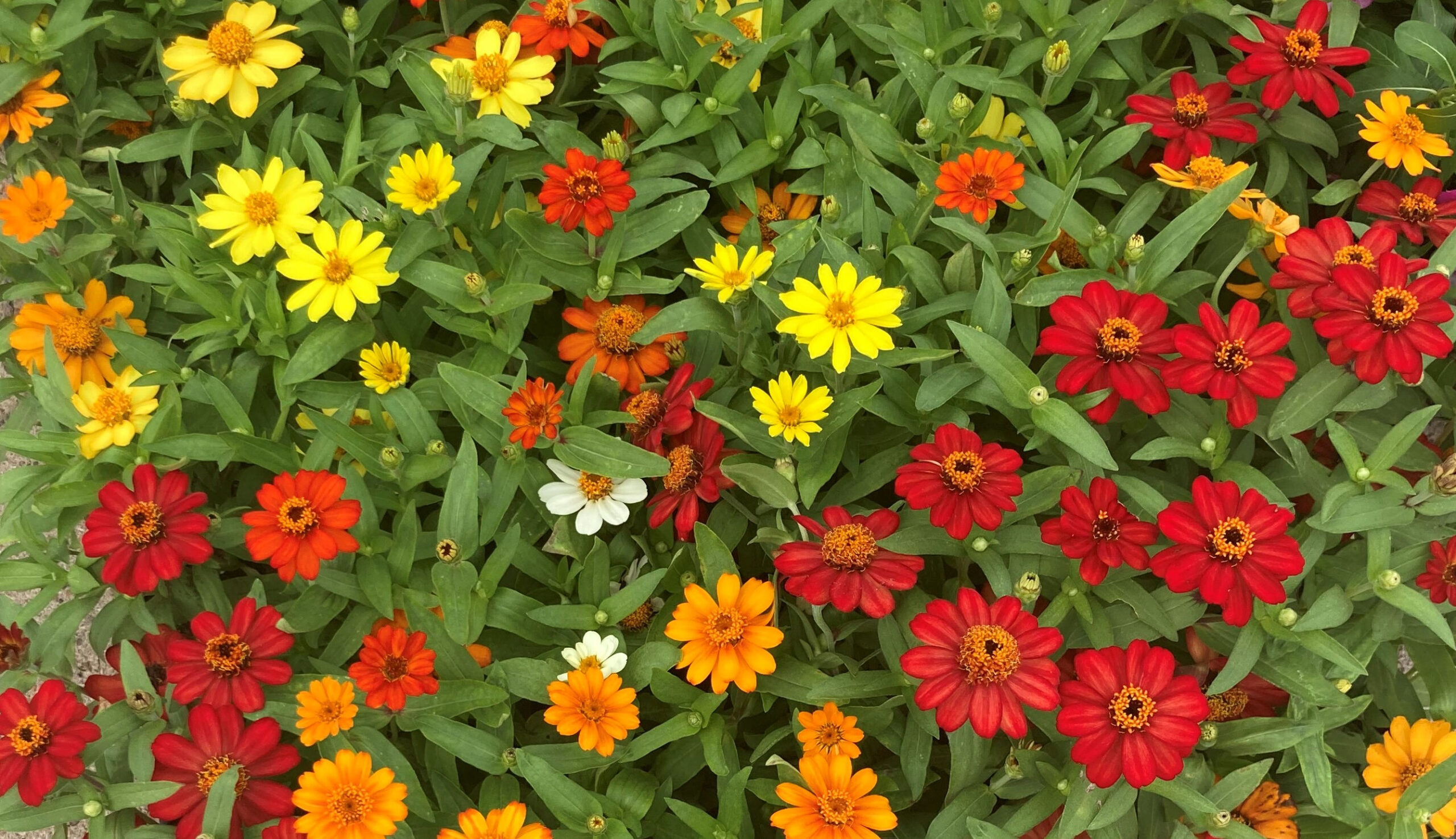 Change in the Air – Fall Season - Making Moments C